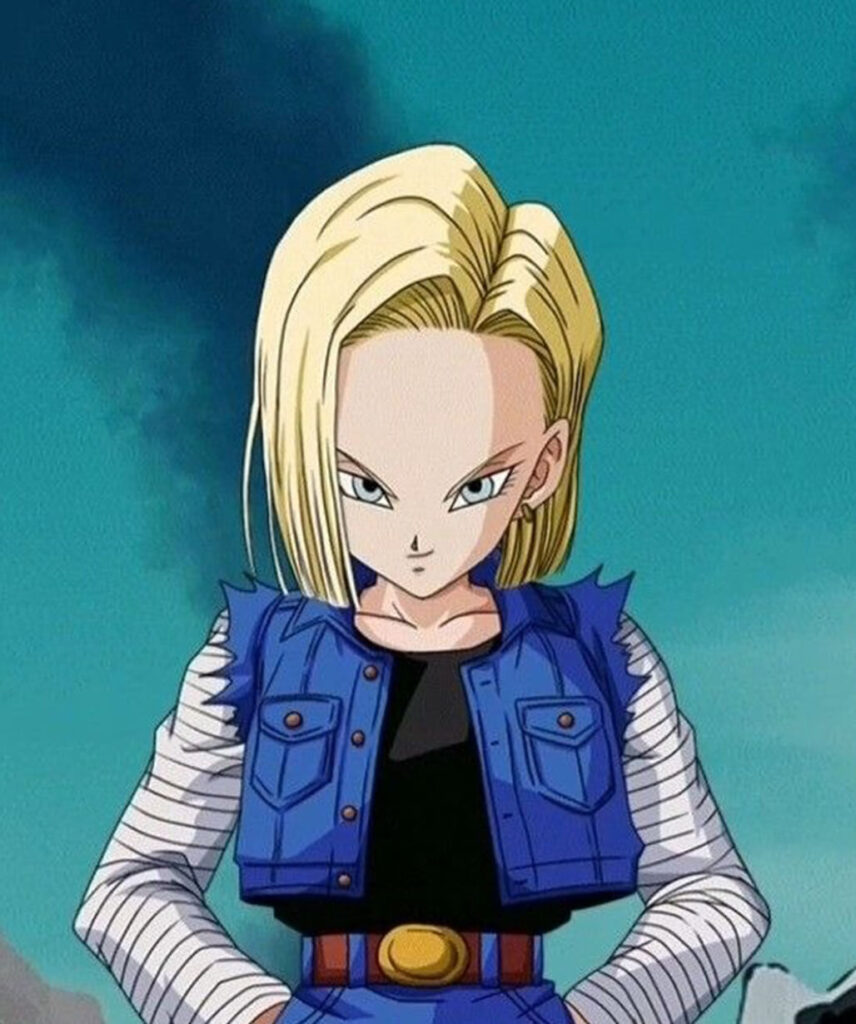 Android 18 Dragon Ball Z Blue Vest